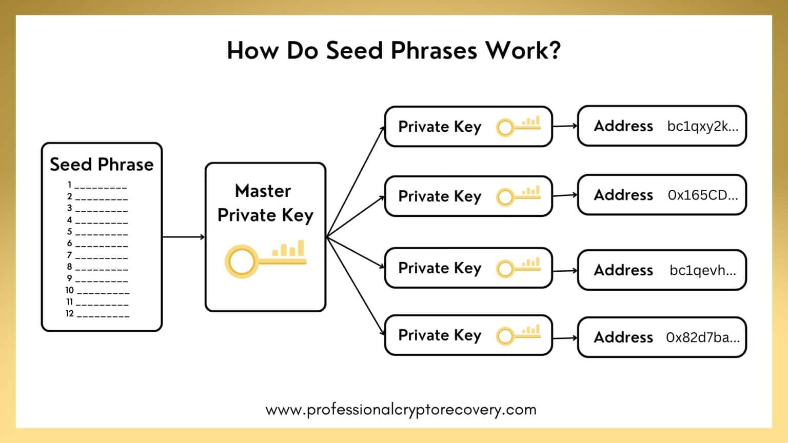 How to Recover Your Lost Seed Phrase - Professional Crypto Recovery