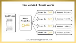 How to Recover Your Lost Seed Phrase - Professional Crypto Recovery