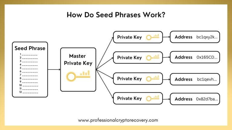 How to Recover Your Lost Seed Phrase - Professional Crypto Recovery
