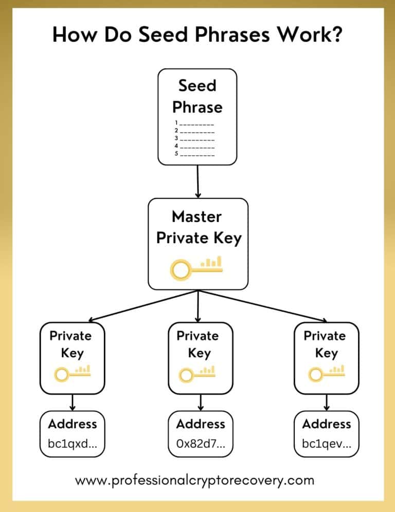 How to Recover Your Lost Seed Phrase - Professional Crypto Recovery