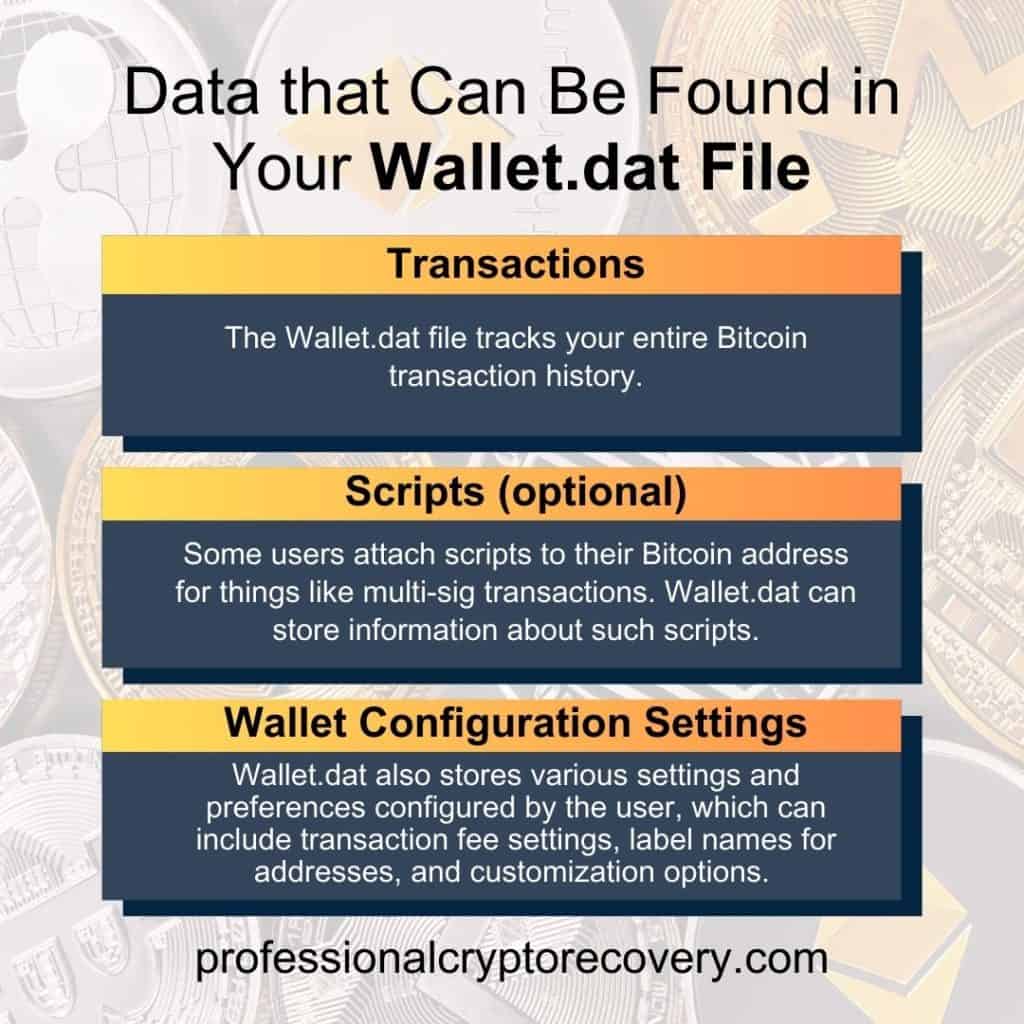 Your Complete Guide to Wallet.dat Security and Recovery - Professional Crypto Recovery