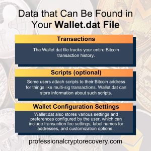 Your Complete Guide to Wallet.dat Security and Recovery - Professional Crypto Recovery